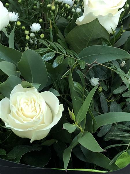 SIx Long Stemmed White Roses Fleurtatious Florist Dublin
